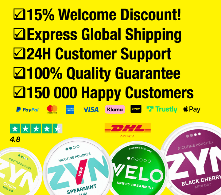 Best ZYN Alternatives: Flavor Twins Guide | GotPouches – GotPouches.com