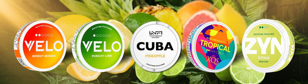 Fruity Nicotine Pouches | Fruit Flavoured Nicopods – GotPouches.com